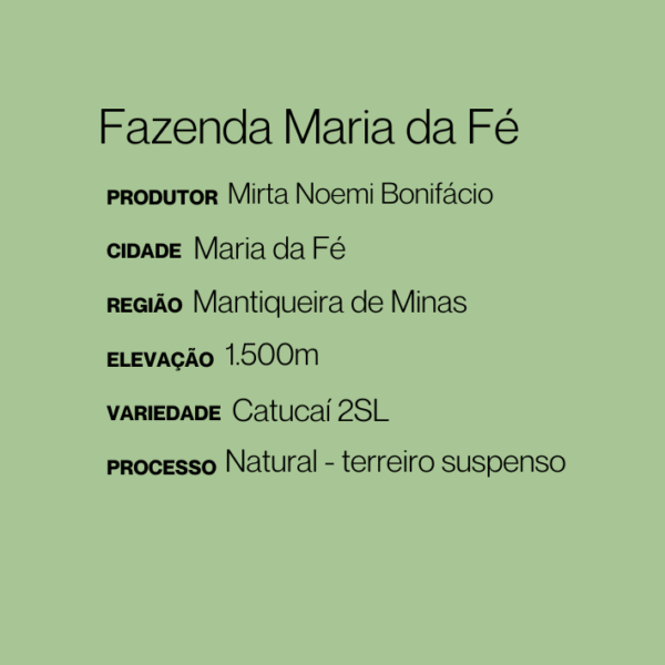 Fazenda Maria da Fé (cultivado sem agrotóxicos) - Tocaya torradores de café